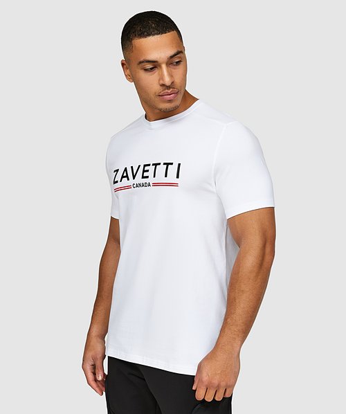 Men's T-Shirts | Zavetti Canada | Zavetti