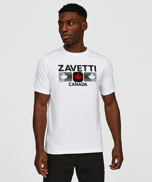 Men's T-Shirts | Zavetti Canada | Zavetti